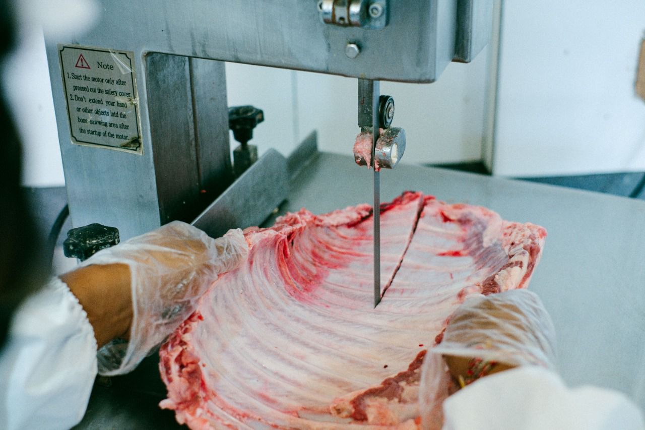 PT. RAJABOGA JAYA NUSANTARA Perusahaan Produsen dan Distributor Daging ...