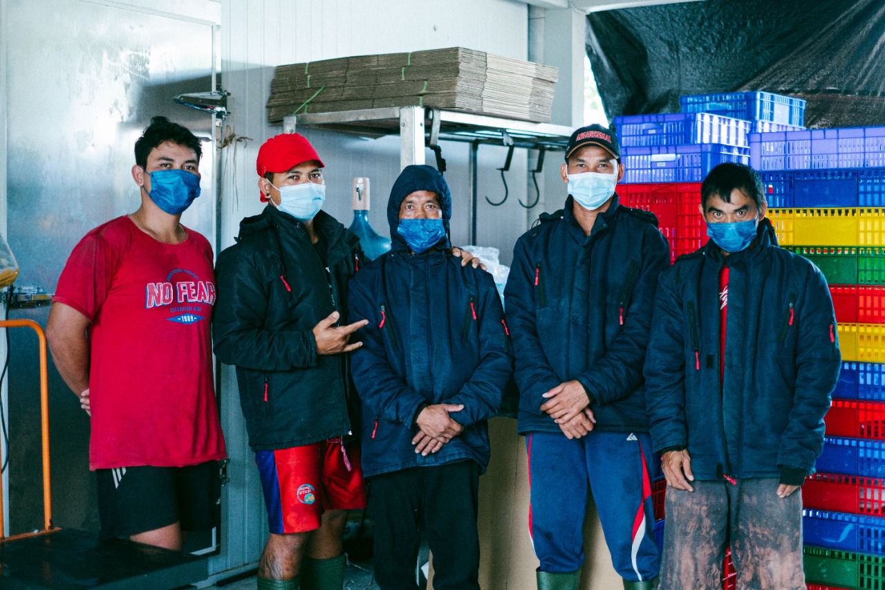 PT. RAJABOGA JAYA NUSANTARA Perusahaan Produsen dan Distributor Daging ...